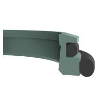 China KL106 Large Diameter Double Lip Wiper Seal 100-380mm PTFE Heavy Duty Protection for sale