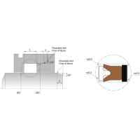 China PTFE Chevron Seal KL109 High Pressure Seal Set 14mm to 28mm Adjustable Housing for sale