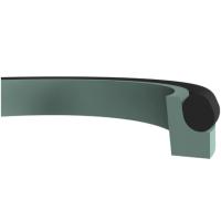 China Low Friction PTFE Wiper Seal with O-Ring Energizer 20mm to 370mm Bore Diameter for sale