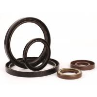 China PTFE 304 FP Type Simmerring U-Seals For Hydraulic Cylinders for sale