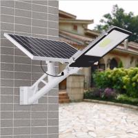China OEM Street Light Arms & Poles 3-15m Height with 250-400W Capacity - Hot Dip Galvanized Steel Construction for sale