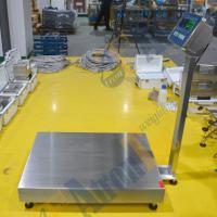 China 150kg Washdown Weighing Scale,500*650mm Stainless Steel Platform Scale for sale