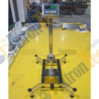 China 150kg Washdown Weighing Scale,500*650mm Stainless Steel Platform Scale for sale