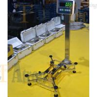 China 60kg Washdown Weighing Scale,400*500mm Stainless Steel Platform Scale for sale