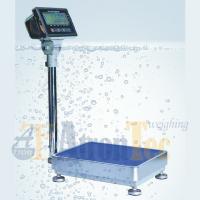 China Platform Size 300*400mm Stainless Steel Platform Scale, 100kg Capacity Electronic Waterproof Weighing Scale for sale