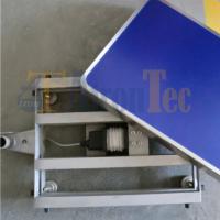 China Platform Size 300*400mm Stainless Steel Platform Scale, 100kg Capacity Electronic Waterproof Weighing Scale for sale