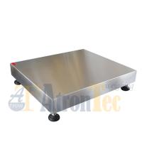 China 300kg Full Stainless Steel Structure Electronc Weighing Scale,Electronic Platform Weighing Scale for sale