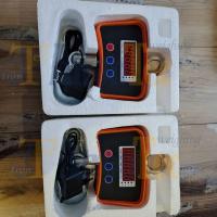 China LED Display 1T Capacity Electronic Crane Scale, Portable Hand-held lifting 300kg Crane Scale for sale