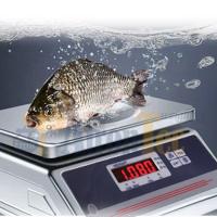 China Stainless Steel Washdown Weighing and Counting Scale,Waterproof Weighing Scale for sale