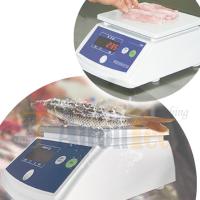 China 15kg Capacity LED Display Moistureproof Table Scale for sale