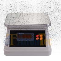 China Red LED Display Electronic Waterproof Weighing Scale and Electronic Counting Scale for sale