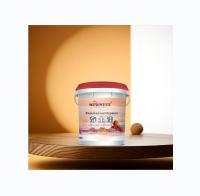 China Rammed Earth Interior Wall Paint 210° Eco-Friendly Natural Coating for Sustainable Homes for sale