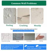 China Odorless Healthy Interior Wall Paint Washable Matt Acrylic Emulsion Paint 5L for sale