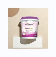 China 20KG/BUCKET Fast Drying Waterproof Interior Wall Paint for Building Coating Efficiency for sale