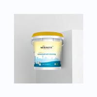 China NEWNESS Acrylic Exterior Wall Paint Building Coating 60um Dry Film Thickness Liquid Spray for sale