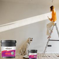 China Polyurea Waterproof Coating for Outdoor Walls Durable 2K Protection 20kg Pail for sale