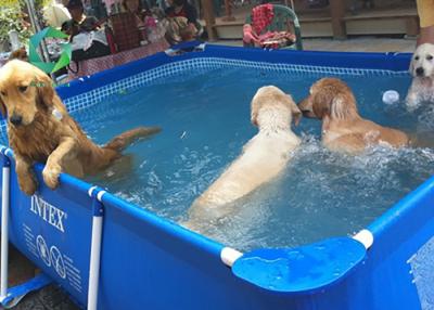 China 650gsm Vinyl Coated Fabric Pool PVC Liner ,  1000d PVC Swimming Pool Tarp Family Use for sale