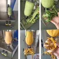 China Commercial Automatic Jackfruit Melon Pineapple Peeler Pumpkin Coconut Fruit Peeling Machine for Sale for sale