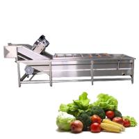 China Best Quality Ultrasonic Cleaning Fruit And Vegetable Washing Machine Vegetable Washing Line for sale