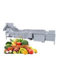 China Industrial Potato Washing Machine Frozen Vegetable Production Line Vegetable Washing Machine for sale