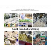 China Industrial Potato Washing Machine Frozen Vegetable Production Line Vegetable Washing Machine for sale