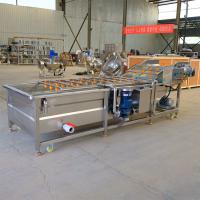 China Air Bubble Tomato Seed Sorting Cleaning and Drying Machinery Vegetable Fruit Washing Machine for sale