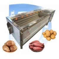 China Maquina Lavadora De Fruta Ginger Potato Small Brush Cassava Wash and Peel Machine India for sale