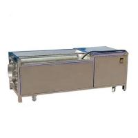 China Maquina Lavadora De Fruta Ginger Potato Small Brush Cassava Wash and Peel Machine India for sale