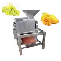 China High Quality Commercial Fruit Juice Making Machine Industrial Cold Press Juicer Extractor Machine Industrial Juicer for sale