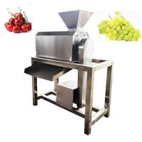 China High Quality Commercial Fruit Juice Making Machine Industrial Cold Press Juicer Extractor Machine Industrial Juicer for sale