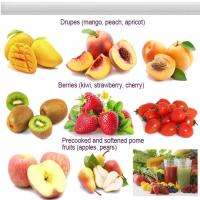China Industrial Ginger Juicer Spiral juicing Machine For Orange Pears Peaches Tomatoes Industrial Juicer for sale