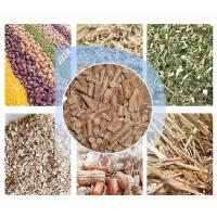 China Production Line for 5000 kg Dry Dog Food Making Cats Food Extruder Machine Fish Feed for sale