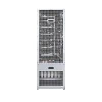 China Santak Castle 3C3 HD 20KVA 40KVA 60KVA 100KVA 200KVA 400V 3-Phase UPS for Industrial for sale