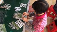 China Colors Shiny Pink Kids and Adult LED Light for LED Shoes for sale
