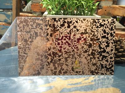 China High quality etched finish  1219*2438mm Bronze 304 stainless steel sheets for sale