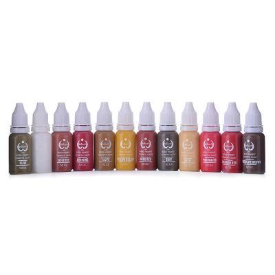China Cosmetic Biotouch Permanent Makeup Equipment Tattoo Ink / Microblading Pigment for sale