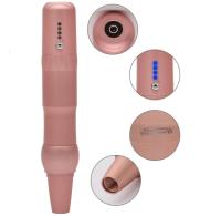 China Permanent Cosmetic Permanent Makeup Machine Microneedle Therapy Machine CE for sale