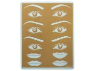 China Fake Tattoo Practice Skins Material for Permanent Makeup Eyebrow Lip Tattooing for sale