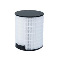 China Home Hvac Hepa High Efficiency Air Filters For Philip AMF860 AMF867 AMF870 AMF872 for sale