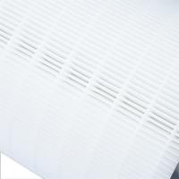China Home Hvac Hepa High Efficiency Air Filters For Philip AMF860 AMF867 AMF870 AMF872 for sale