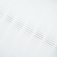 China Activated Carbon H13 True Hepa Filter For Allergies Philips AC1715 AC1711 Air Purifiers for sale