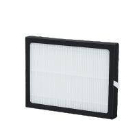 China Customized Size HEPA Filter with High Adsorption Power and Low Initial Differential Pressure for Air Purification for sale