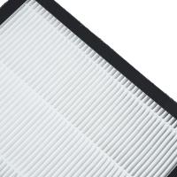 China Customized Size HEPA Filter with High Adsorption Power and Low Initial Differential Pressure for Air Purification for sale