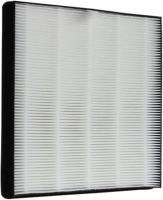 China Customized Size HEPA Air Filter for PM2.5 Removal with 1 Year Warranty - Replacement Air Purifier Filter for sale
