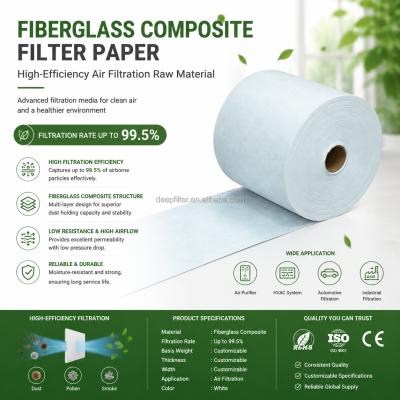 China High-Efficiency HEPA Filter Fiberglass Air Filter with Customized Size and Eco-Friendly Composite Filter Paper for sale