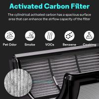 China True HEPA Replacement Filter Compatible with Dyson TP06 TP09 HP06 PH01 PH02 TP07 HP07 HP09 970341-01 Eco-Friendly Air Purifier Filter for sale