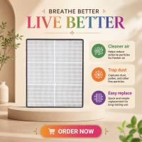 China Eco-Friendly Activated Carbon Filter with High Permeability and Strong Compatibility for Whispure Air Purifiers for sale
