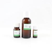 China Eco Friendly Verbena Fragrance Essential Oil With 20 Years Of Expertise for sale