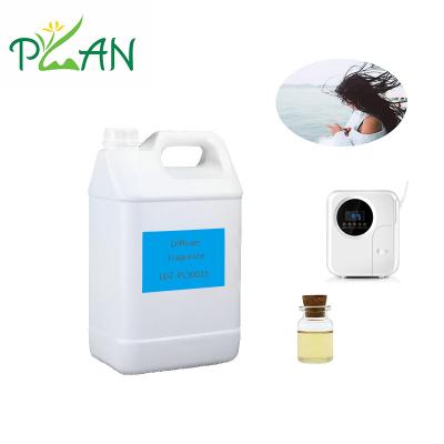 China Natural Organic Diffuser Fragrances Aromatherapy Sea Breeze Fragrance Essence Oil for sale