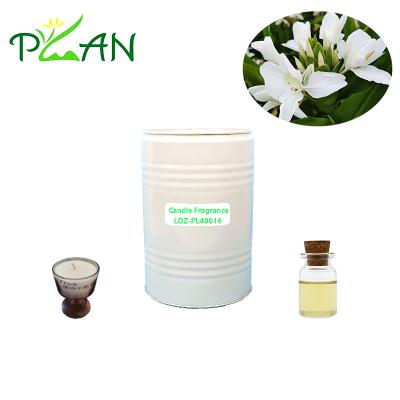 China High Purity Candle Fragrances Natural Ginger Flower Scented Fragrance for sale